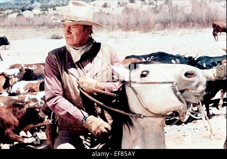 John Wayne / The Cowboys 1972 directed by Mark Rydell Stock Photo - Alamy
