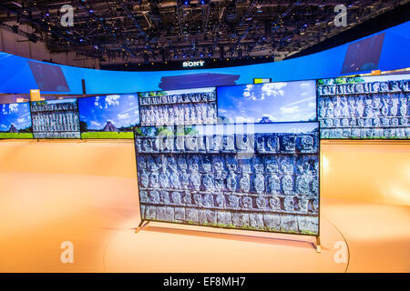 The Sony booth at the CES show held in Las Vegas Stock Photo - Alamy