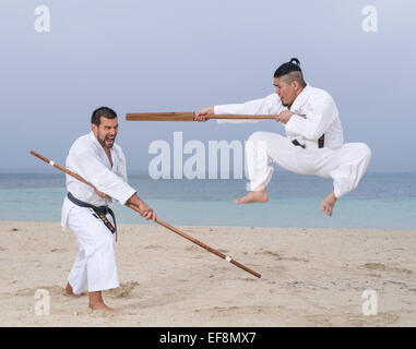 Fumiya Matayoshi with eku ( oar ) training in Kobudo / Karate on the ...