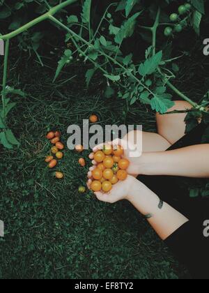 Overhead view of a woman holding a handful of silver star shape ...