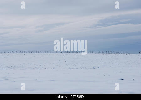 Snow covered vineyards-Bordeaux Vineyards Stock Photo - Alamy