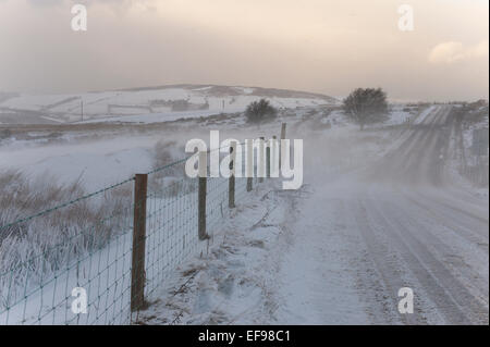 Strong wind and snow fall in Shenyang City, northeast China's Liaoning ...