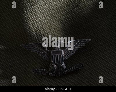 bird colonel silver eagle rank badge Stock Photo - Alamy
