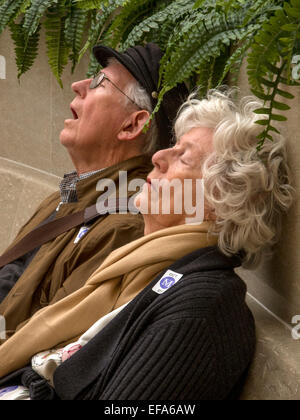 Victims of "museum fatigue," a tired elderly couple sleep on a bench in ...
