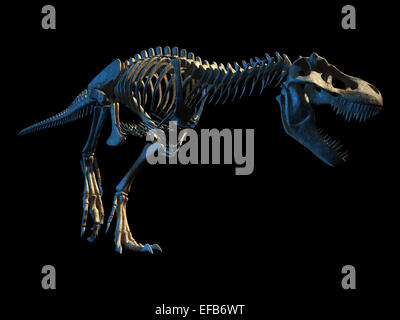 T-Rex dinosaur photo-realistic full skeleton, scientifically correct ...