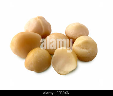 Shelled macadamia nut and peeled macadamia nut on a black textural ...
