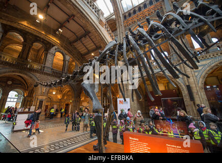 Dippy the diplodocus cast skeleton, Hintze Hall, Natural History Museum ...