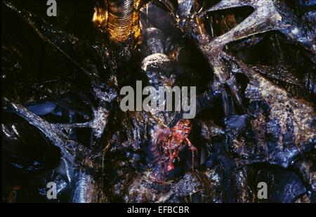 ALIEN SCENE, ALIENS, 1986 Stock Photo - Alamy