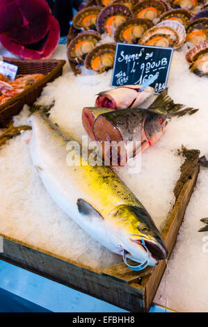 Fresh fish on farmer market in Paris, France. Typical European fish ...
