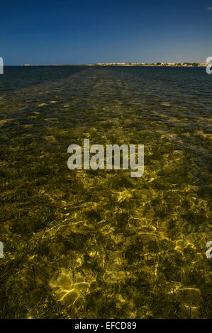 Sicily - Nature Reserve Islands of the Lagoon of Marsala. Island Mozia ...