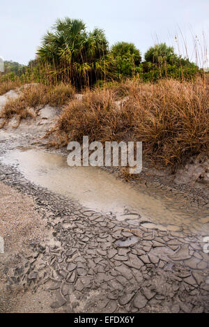 Dried mud puddle with dry cracks and traces of rain drops, Highway 24 ...