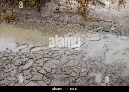 Dried mud puddle with dry cracks and traces of rain drops, Highway 24 ...