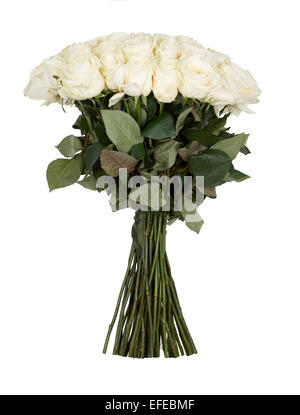 bunch of white roses isolated on white background Stock Photo - Alamy