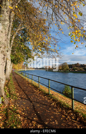 Autumn trees, Castle, River Ness, Inverness, Scotland Highland region ...