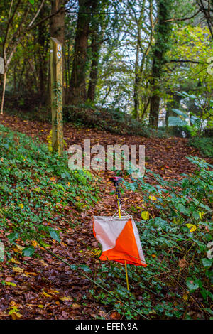 Orienteering markers in woodland Stock Photo - Alamy