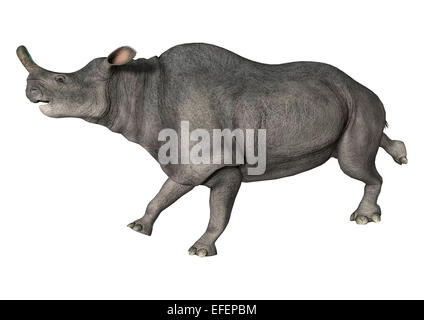 3D digital render of a Brontotherium or thunder beast isolated on white ...