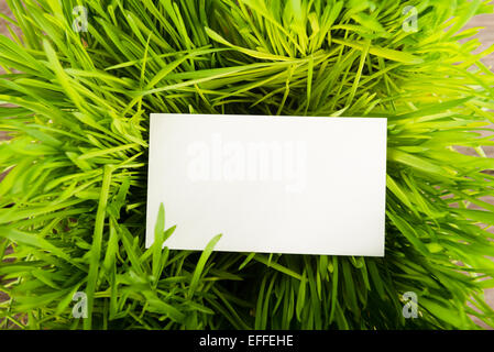 Blank business card in fresh green grass Stock Photo - Alamy