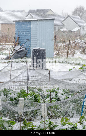 South Cambridgeshire, UK. 3rd February, 2015. UK Weather. Snow in East ...