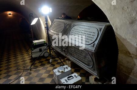 Wolfenbuettel, Germany. 19th Jan, 2015. A restorer works on the zinc ...