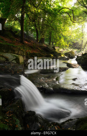 Cloghleagh River waterfall summer rural scene scenic irish sidelit ...