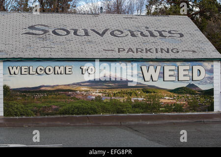 Welcome to Weed sign on a souvenir store in the City of Weed Siskiyou ...