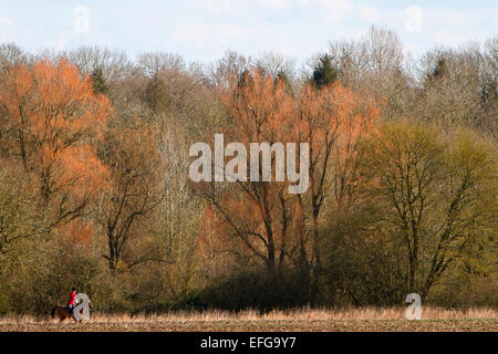 Distant view of huntsman riding through field landscape in autumn ...