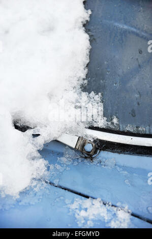 A shot of an abandoned and old car in the forest Stock Photo - Alamy