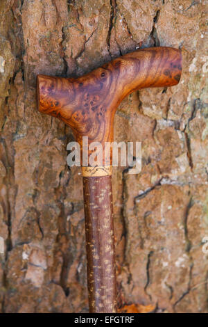 Traditional handcrafted walking sticks with burr elm and oak wood derby ...