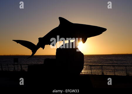 The deep, Hull, shark sculpture at sun rise Stock Photo - Alamy