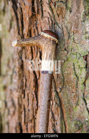 Traditional handcrafted wooden shepherds crook with whistle in deer ...