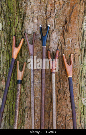 Variety of traditional handcrafted wooden walking sticks with churchill ...