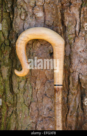 Traditional handcrafted wooden shepherds crook with whistle in deer ...