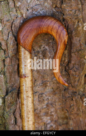 Traditional handcrafted hazel wood shepherds crook with ram's horn ...
