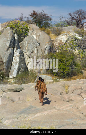 San bushman trackers walking on the ancient granite outcrop of Kubu ...