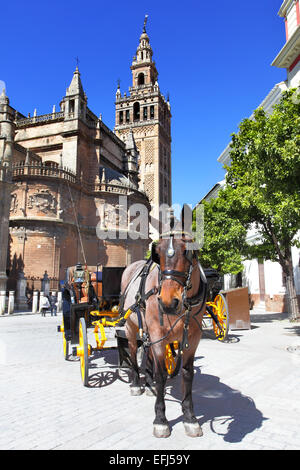 orange tree yard near giralda cathedral in sevilla, spain Stock Photo ...