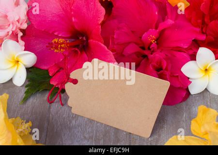 colorful hibiscus flowers with tag Stock Photo - Alamy