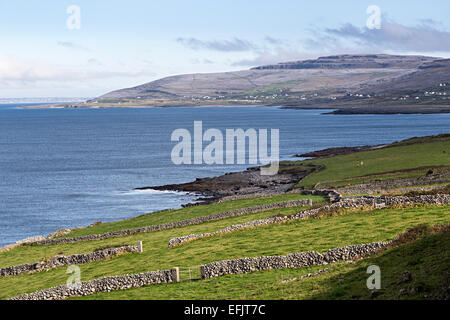 The coast near Fanore, Burren, County Clare, Ireland Stock Photo - Alamy