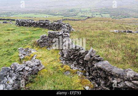 Burren Stone Walls, The Burren, Co Clare, Ireland Stock Photo - Alamy