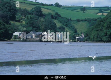 Tuckenhay village and Bow Creek, South Devon, UK Stock Photo - Alamy