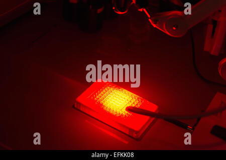 Cancer research laboratory Photodynamic therapy photochemotherapy ...