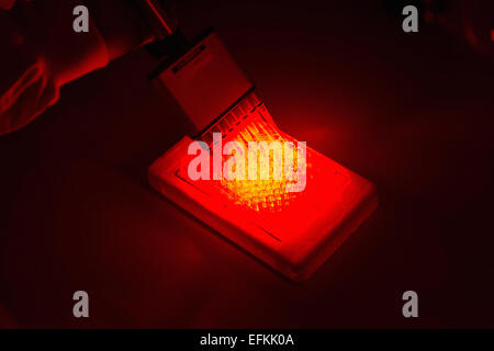 Cancer research laboratory, Photodynamic therapy, photochemotherapy ...