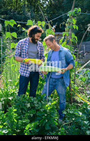 Two vegetable marrows Stock Photo - Alamy