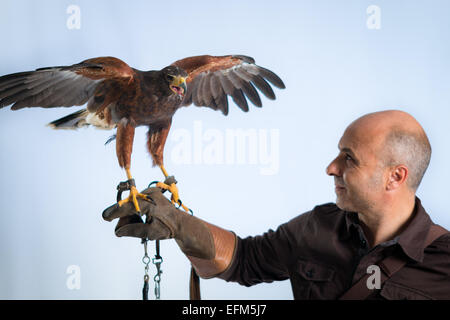 man and buzzanrd Stock Photo - Alamy