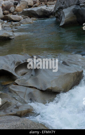 a running river in the rocks between the green trees Stock Photo - Alamy