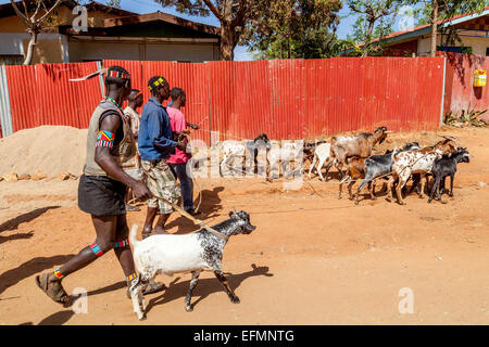 Man of the Bana / Bena tribe in traditional dress wearing colourful ...