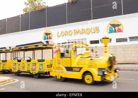 Loro Park Tourist Train Puerto de la Cruz Tenerife Stock Photo - Alamy