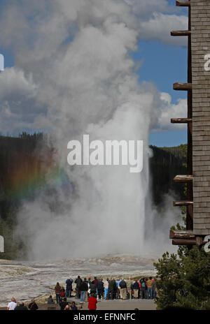 This photograph captures the iconic Old Faithful Geyser in Yellowstone ...