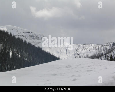 Scenery from Sylvan (5) Spring plowing; Davey Wyatt; Spring, 2011 Stock ...