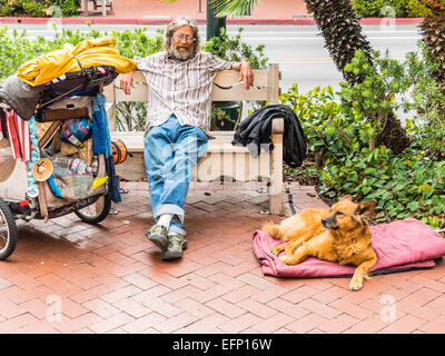 Dog without home. Pet rests. Animal lies on litter. Old dog Stock Photo ...