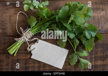 bouquet of fresh coriander or cilantro, price tag on white wooden ...